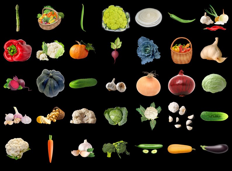 Vegetables PNG Overlays: 250 Transparent Photoshop Backgrounds (digital ...