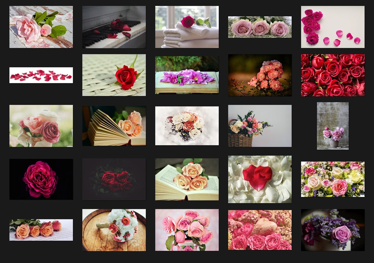 200 Red Roses Photoshop Overlays: HD Textures, Backgrounds (digital ...