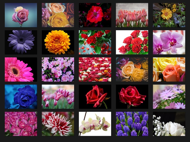 200 FLOWERS PHOTOSHOP OVERLAYS Digital Textures Backgrounds - Etsy