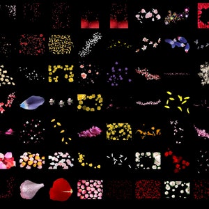 500 FLOWER PETALS TRANSPARENT Png Photoshop Overlays, Flowers Png ...
