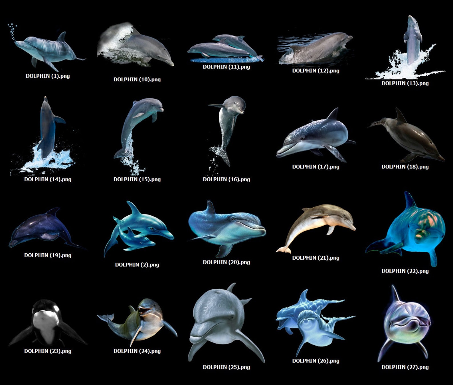 50 DOLPHINS TRANSPARENT PNG Photoshop Overlays Dolphin Png - Etsy