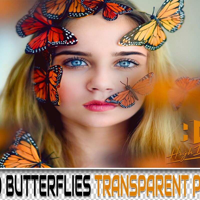Butterfly Backdrop - Etsy