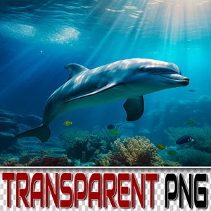 50 DOLPHINS TRANSPARENT PNG Photoshop Overlays, Png Animals, Png ...
