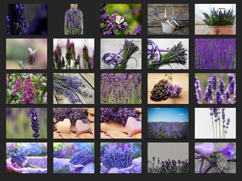 200 LAVENDER PHOTOSHOP OVERLAYS Digital Textures - Etsy