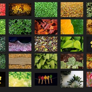 200 LEAVES PHOTOSHOP OVERLAYS, Digital Textures, Backgrounds, Backdrops ...