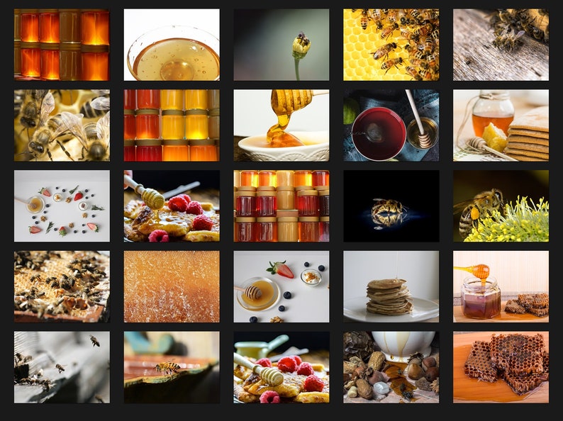 200 HONEY Bees PHOTOSHOP OVERLAYS Digital Textures - Etsy