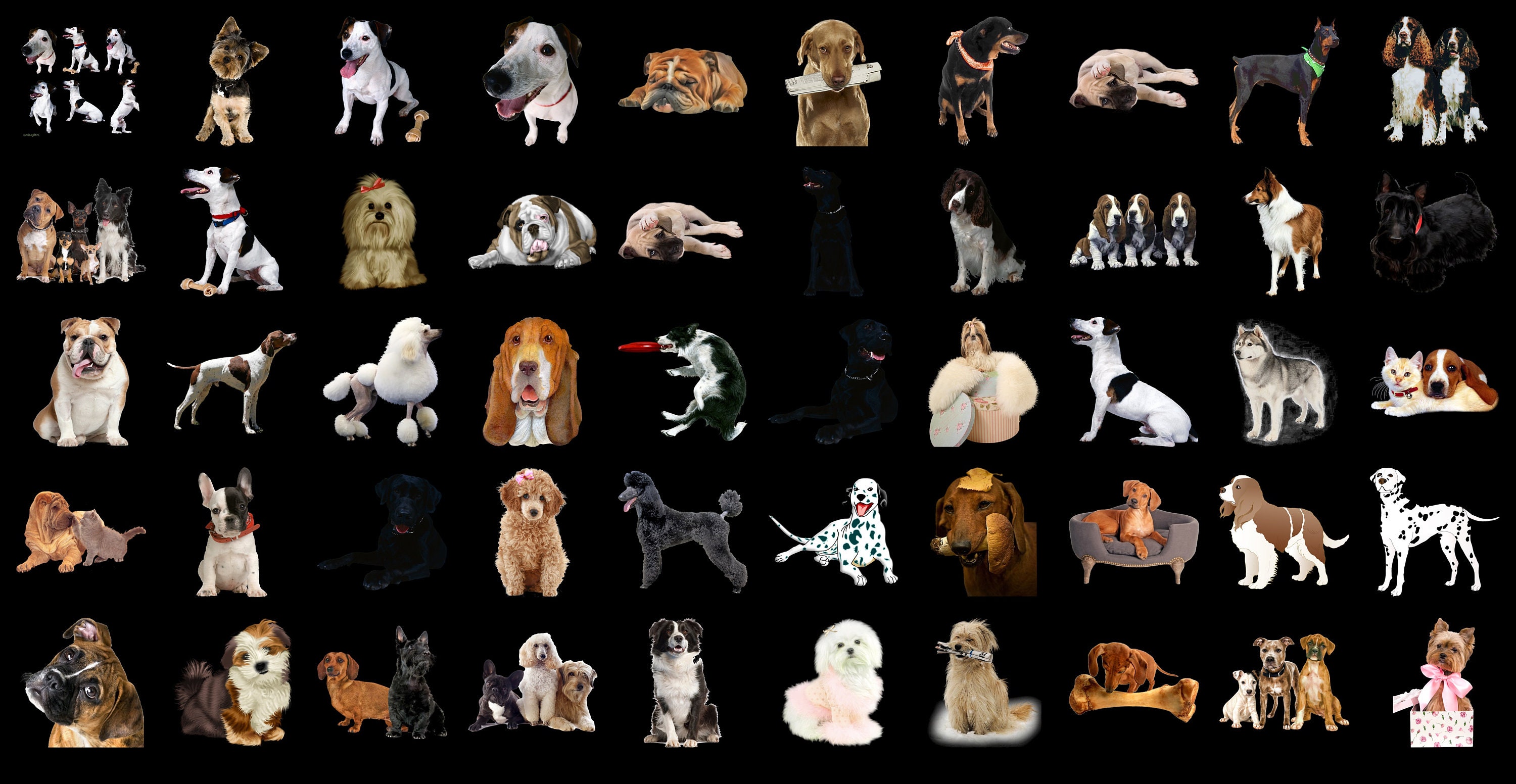 300 Dogs PNG Overlays: Transparent Puppy Clipart (digital Download) - Etsy