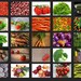 200 Vegetables Photoshop Overlays, Digital Textures, Backgrounds ...