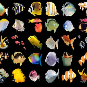 300 FISHES TRANSPARENT PNG Photoshop Overlays, Png Animals, Png ...
