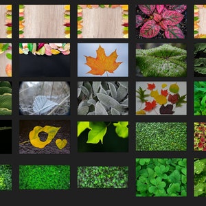200 LEAVES PHOTOSHOP OVERLAYS, Digital Textures, Backgrounds, Backdrops ...