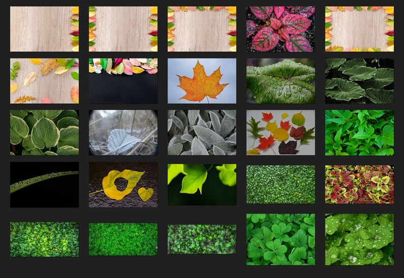 200 Leaves Photo Overlays: Forest Photography Backdrops (digital ...