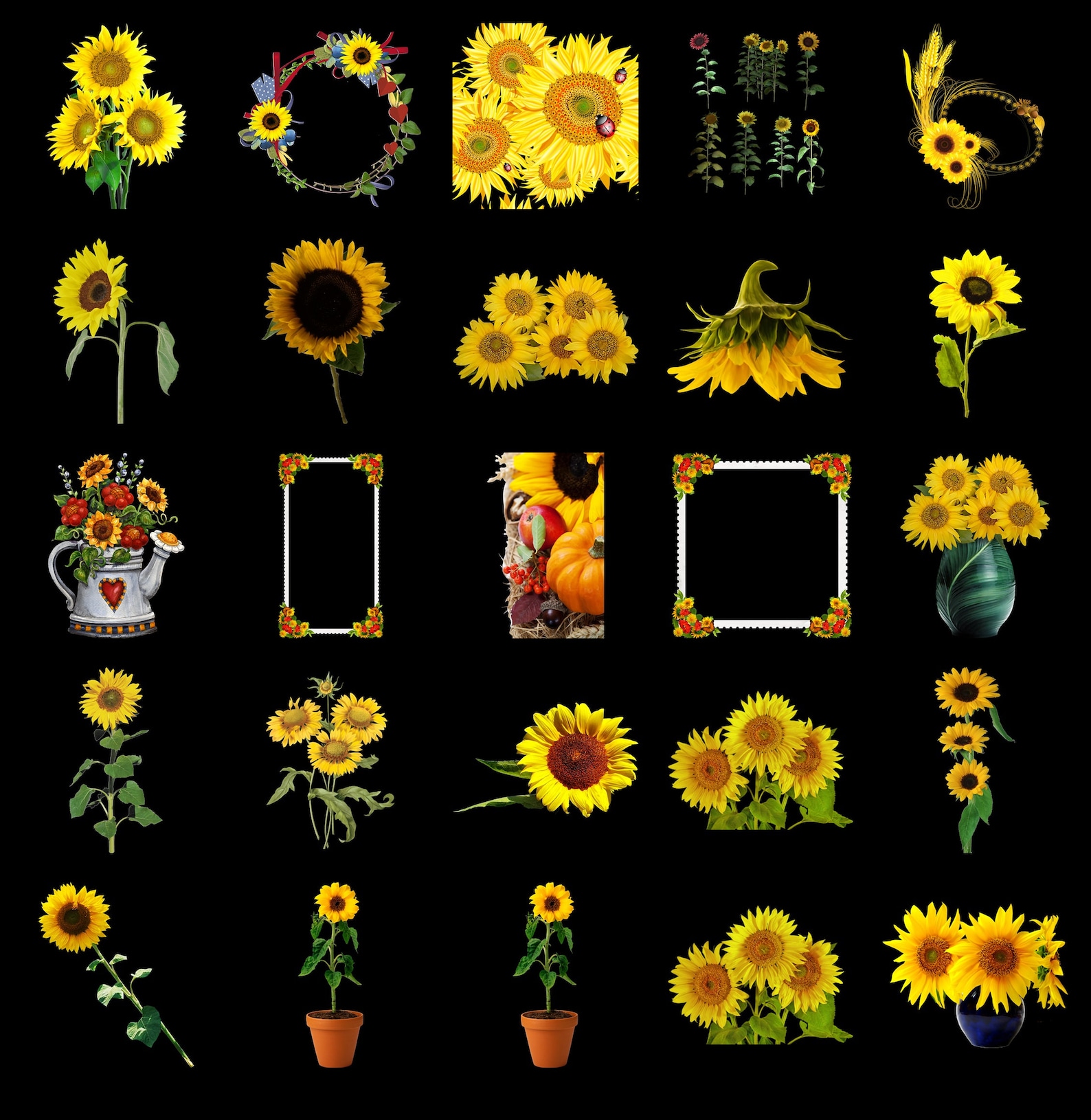 200 SUNFLOWERS TRANSPARENT PNG Photoshop Overlays Sunflowers - Etsy