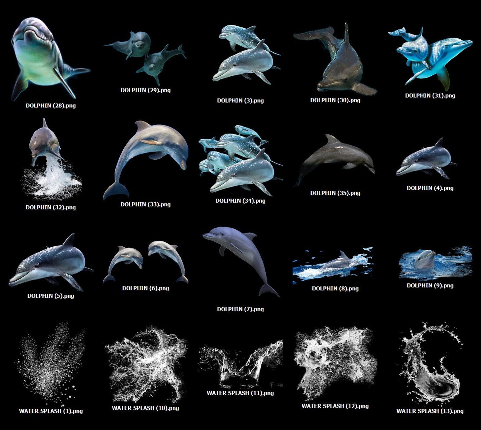 50 DOLPHINS TRANSPARENT PNG Photoshop Overlays Dolphin Png - Etsy