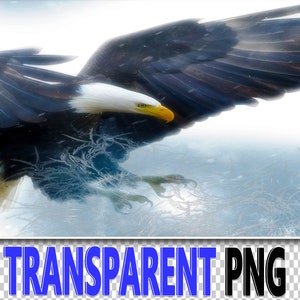 100 EAGLES TRANSPARENT PNG Photoshop Overlays, Png Animals, Png ...