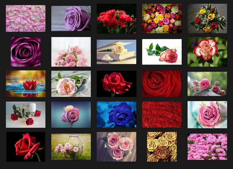 200 Red Roses Photoshop Overlays: HD Textures, Backgrounds (digital ...