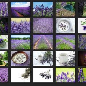 200 LAVENDER PHOTOSHOP OVERLAYS, Digital Textures, Backgrounds ...