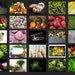 200 Vegetables Photoshop Overlays, Digital Textures, Backgrounds ...