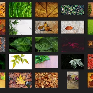 200 LEAVES PHOTOSHOP OVERLAYS, Digital Textures, Backgrounds, Backdrops ...
