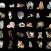 300 CATS TRANSPARENT PNG Photoshop Overlays Cats Png Cats - Etsy