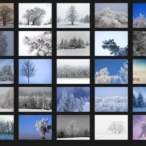 200 SNOW TREES PHOTOSHOP Overlays, Digital Textures, Backgrounds ...