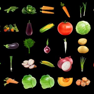 250 VEGETABLES TRANSPARENT PNG Photoshop Overlays, Vegetables Png ...
