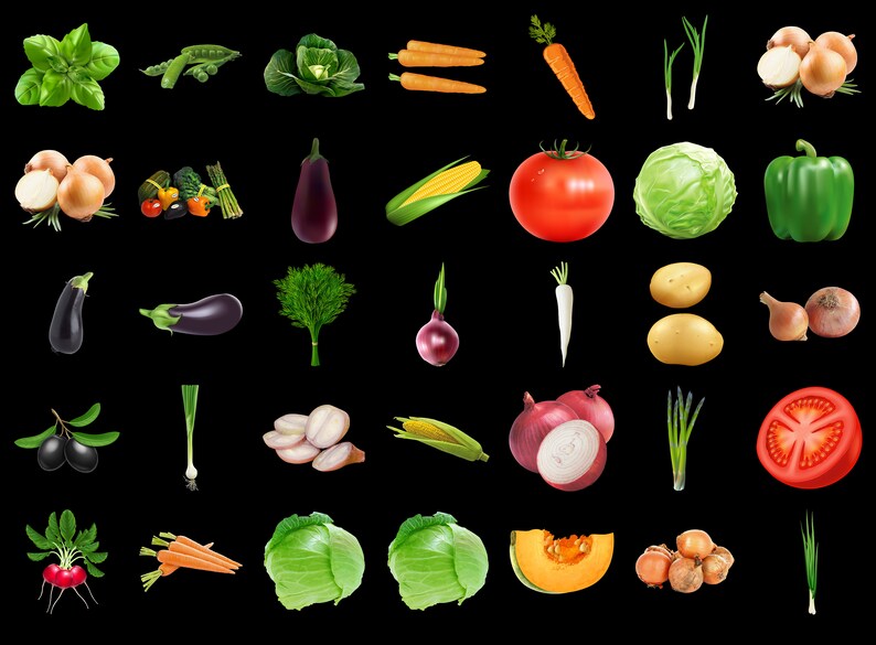 Vegetables PNG Overlays: 250 Transparent Photoshop Backgrounds (digital ...