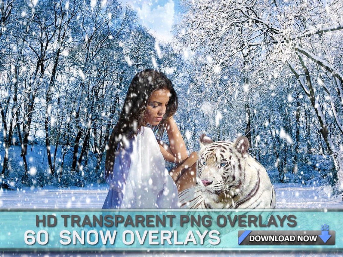 60 SNOW TRANSPARENT PNG Photoshop Overlays Snow Digital - Etsy