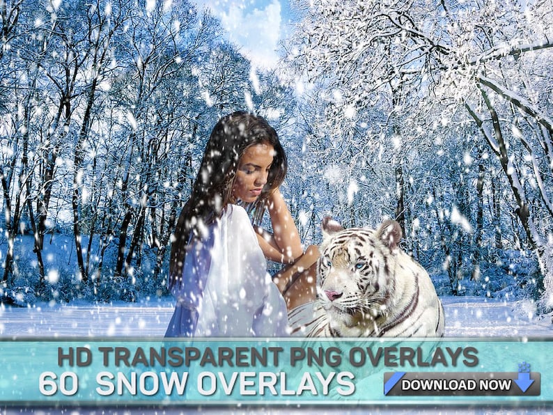 60 SNOW TRANSPARENT PNG Photoshop Overlays Snow Digital - Etsy