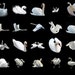 100 SWANS TRANSPARENT PNG Photoshop Overlays, Png Animals, Png Wildlife ...