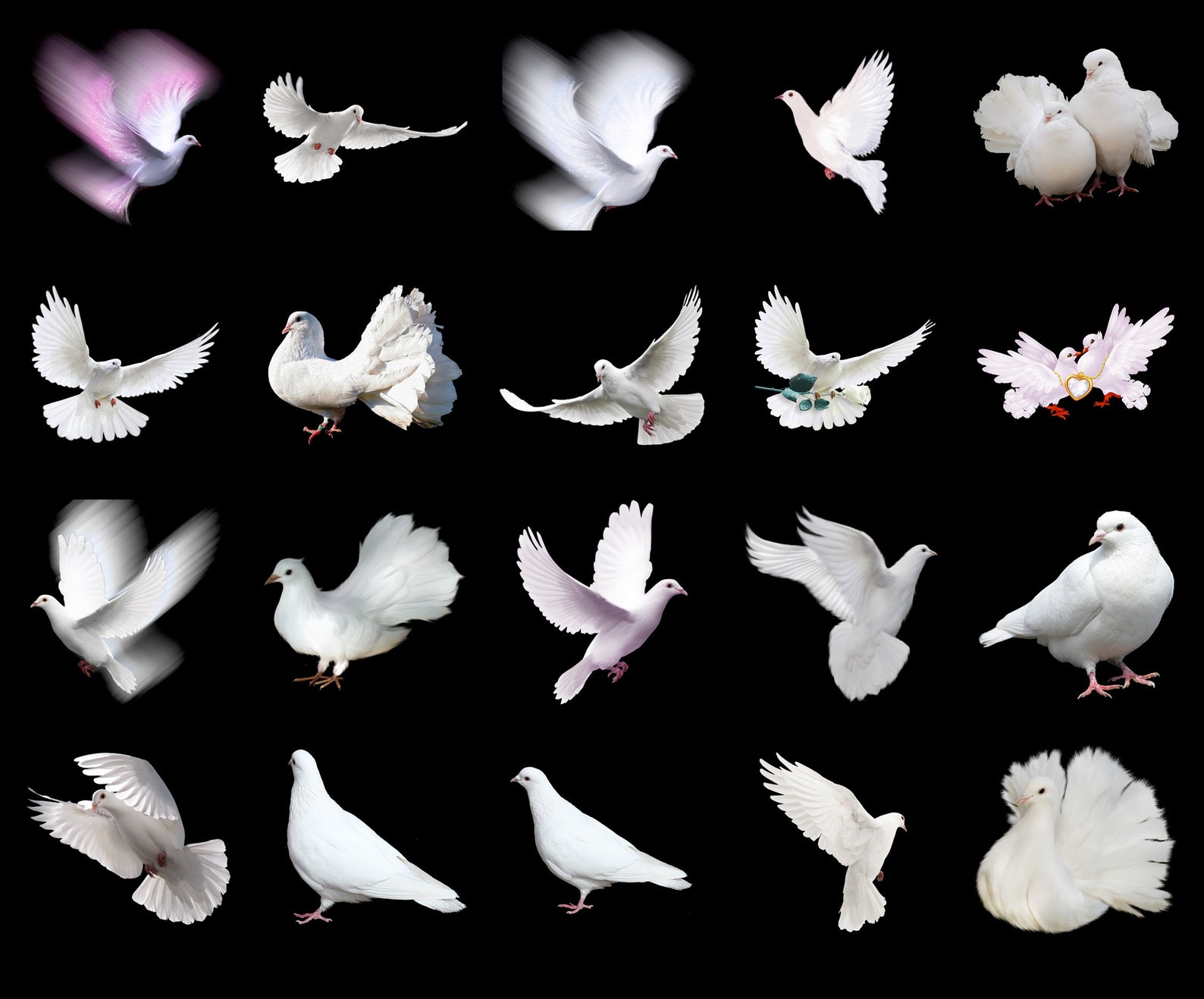 100 DOVES TRANSPARENT PNG Photoshop Overlays Doves Png Doves - Etsy