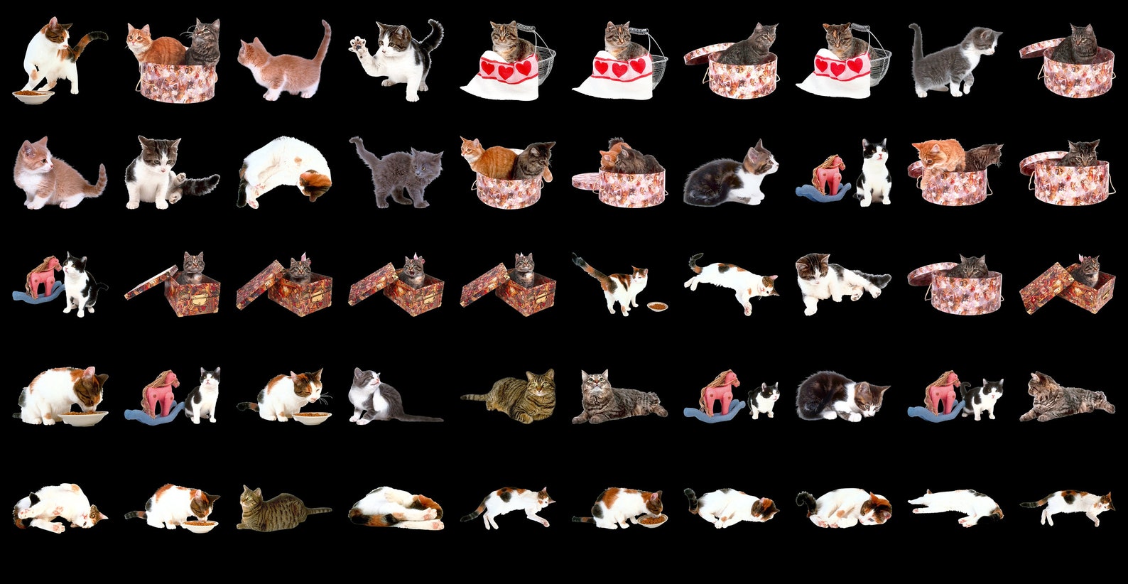 300 CATS TRANSPARENT PNG Photoshop Overlays Cats Png Cats - Etsy
