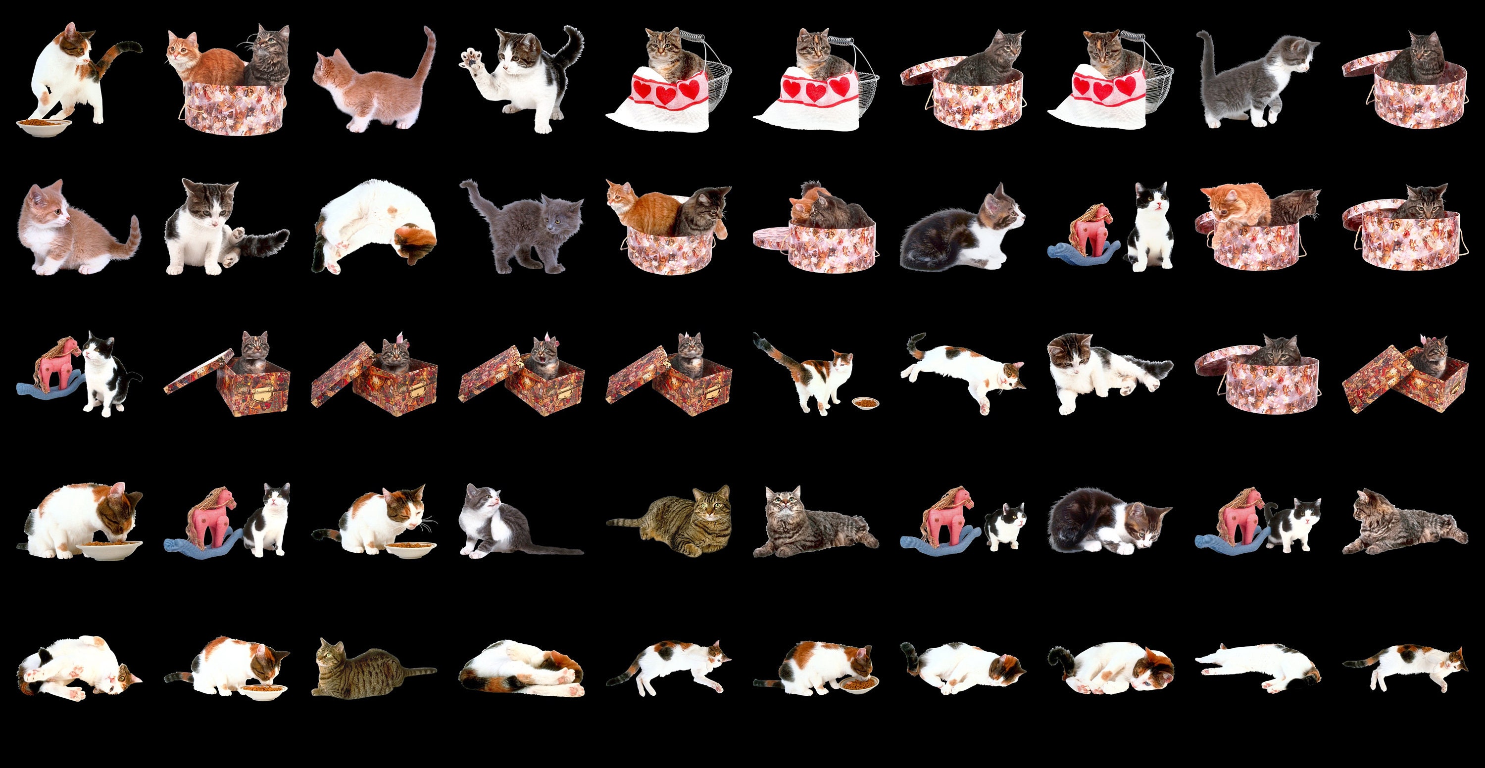 300 CATS TRANSPARENT PNG Photoshop Overlays Cats Png Cats - Etsy