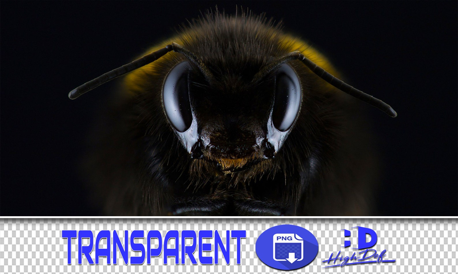 50 Bee PNG Overlays: Transparent Flying Bumblebees (digital Download ...