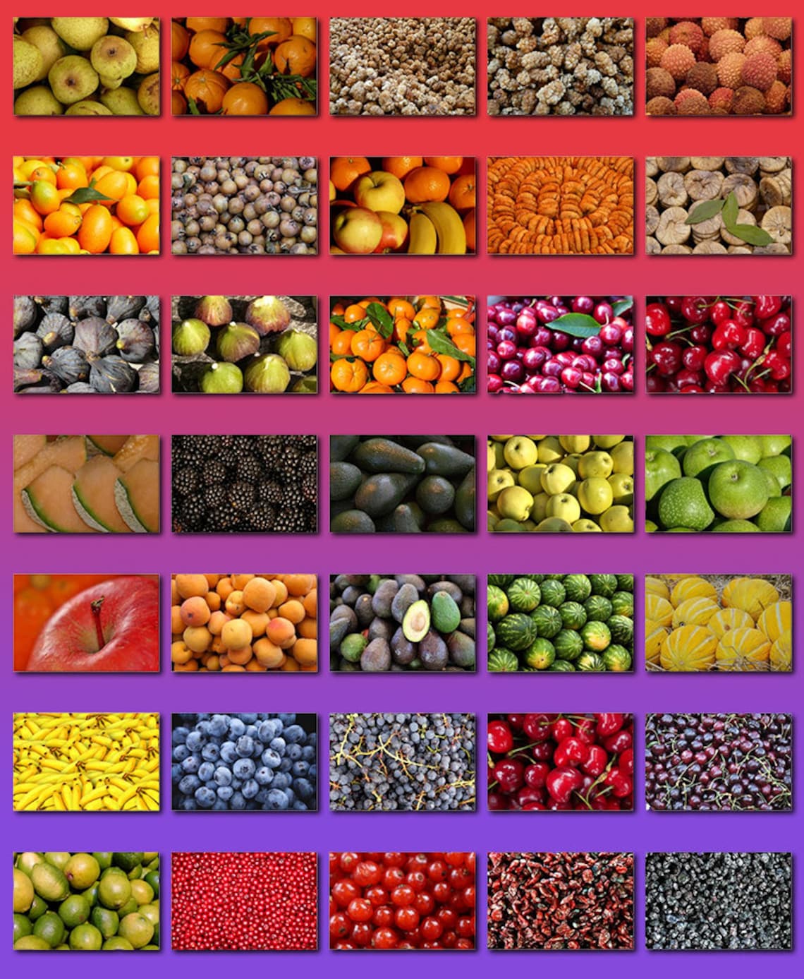 100 Fruit Textures & Backgrounds Fruit Photoshop Overlays - Etsy