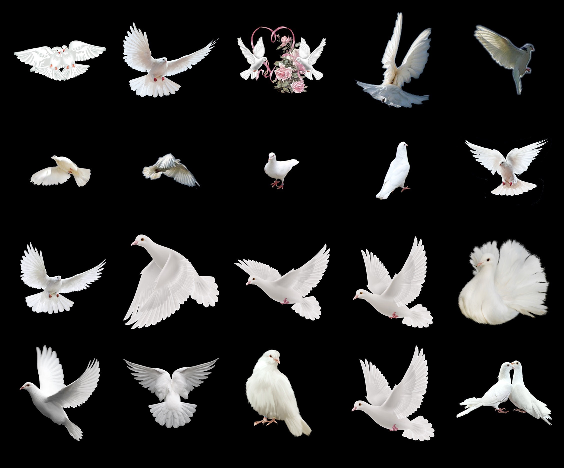 100 DOVES TRANSPARENT PNG Photoshop Overlays Doves Png Doves - Etsy