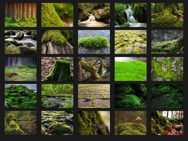 200 Moss Photoshop Overlays: Forest Textures, Backgrounds (digital ...