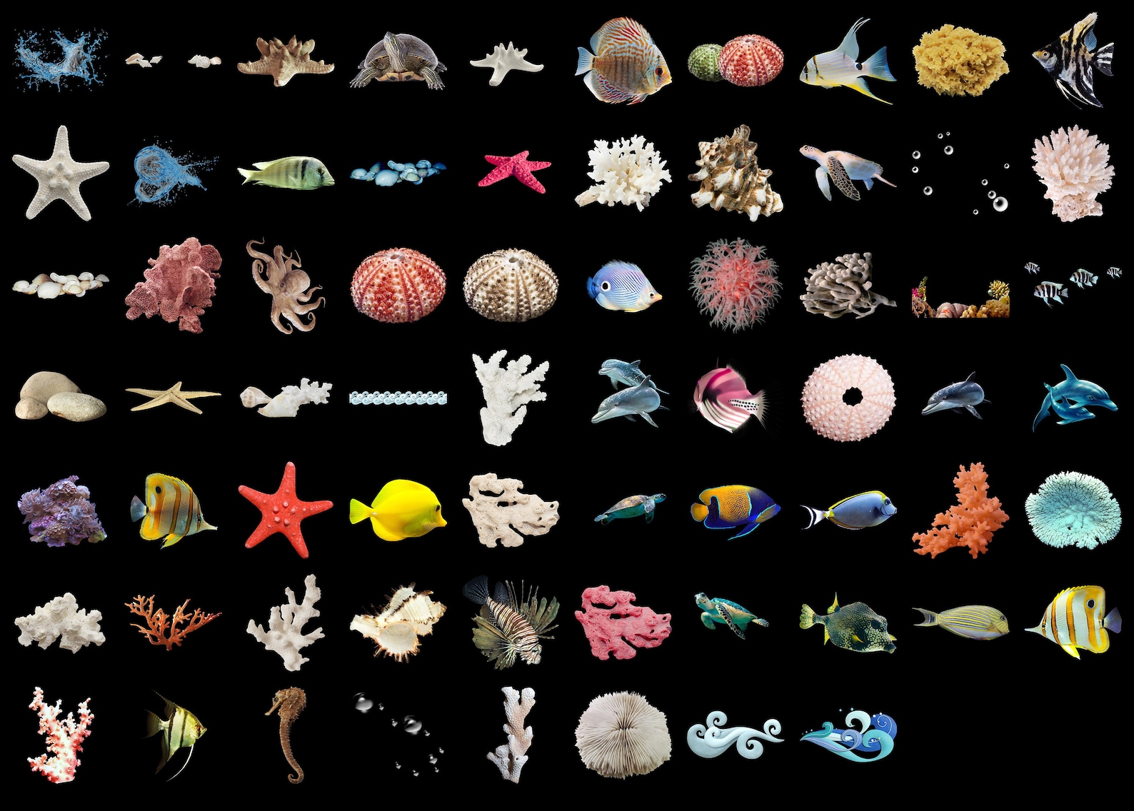 800 SEA FLORA TRANSPARENT Png Photoshop Overlayscorals - Etsy