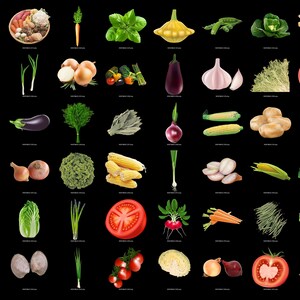 500 VEGETABLES TRANSPARENT PNG Photoshop Overlays, Vegetables Png ...