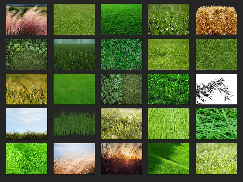 200 GRASS PHOTOSHOP OVERLAYS Digital Textures Backgrounds - Etsy