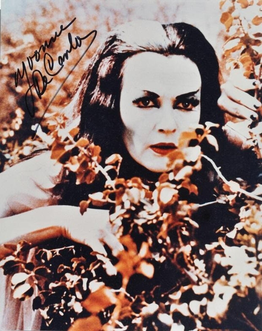 Yvonne Decarlo Signed Photo - the Munsters - the Ten Commandments W/COA ...