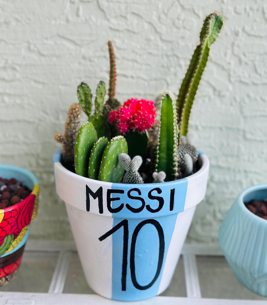 Succulents in Messi's Pot - Etsy