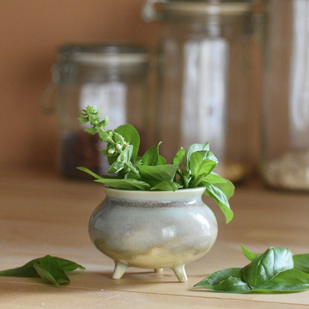 Kitchen Ceramic Kettle Planter, Grow an Herb Garden, Pot Your ...