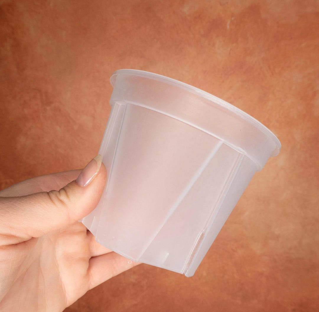 Ten 4" Round Opaque Plastic Pots for Hoyas, Houseplants, and ...