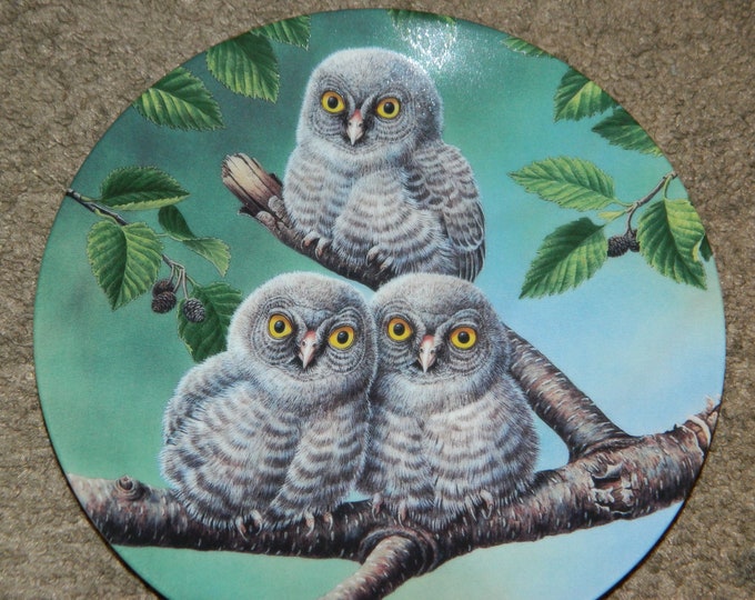 Vintage Owl Plate,out on a Limb: Great Gray Owls Limited Edition 5 ...