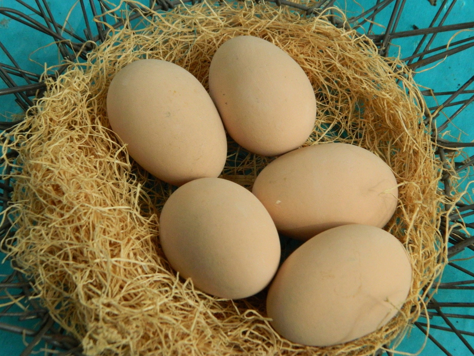 Vintage Collapsible Metal Chicken Basket. Nice Basket to - Etsy