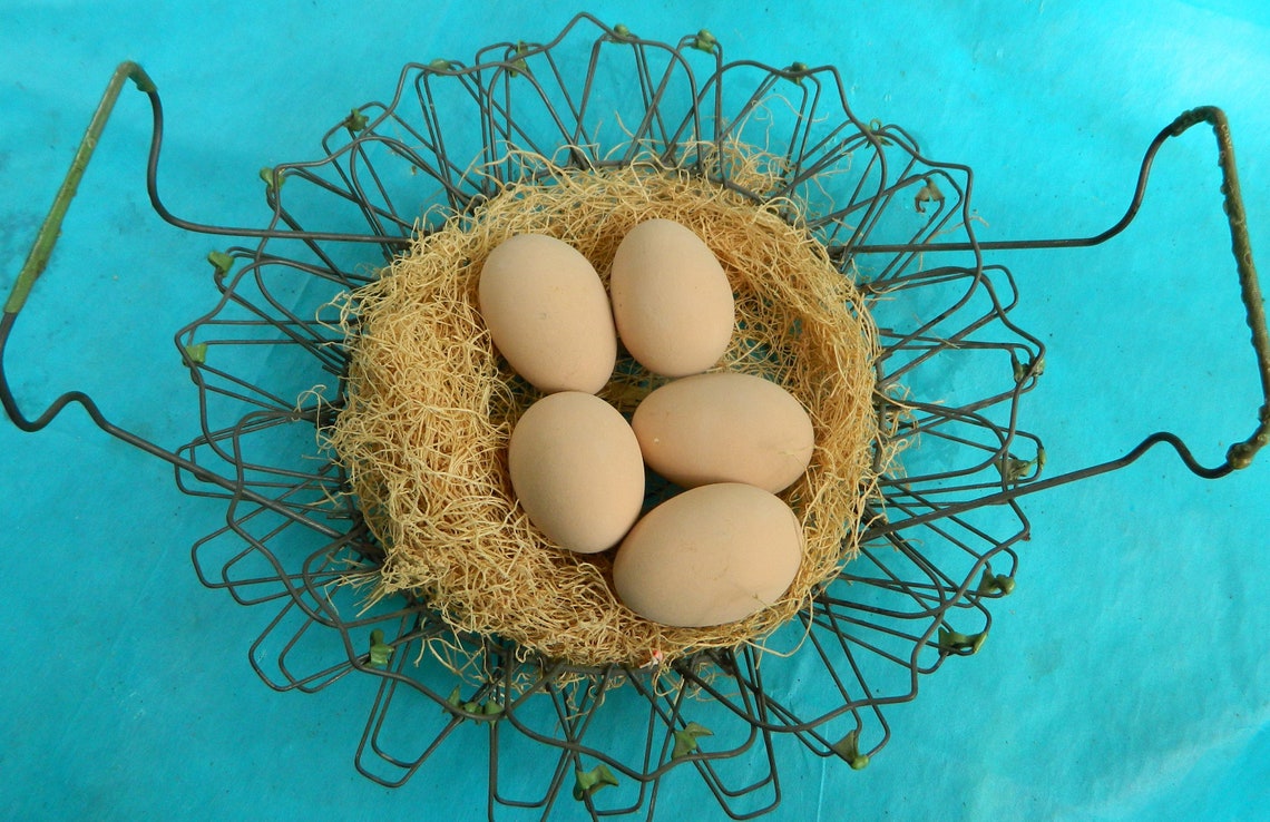 Vintage Collapsible Metal Chicken Basket. Nice Basket to - Etsy