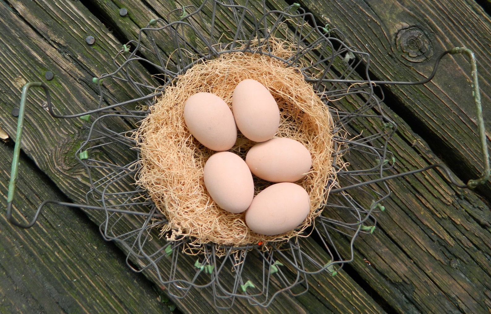 Vintage Collapsible Metal Chicken Basket. Nice Basket to - Etsy