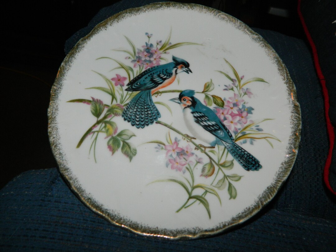 Vintage Blue Jay Decor Plate From Norleans Japan. A Glossy White & Pink ...