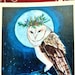 The Wisdom of Winter Stillness. Winter Holiday Owl. Celtic Solstice Owl ...