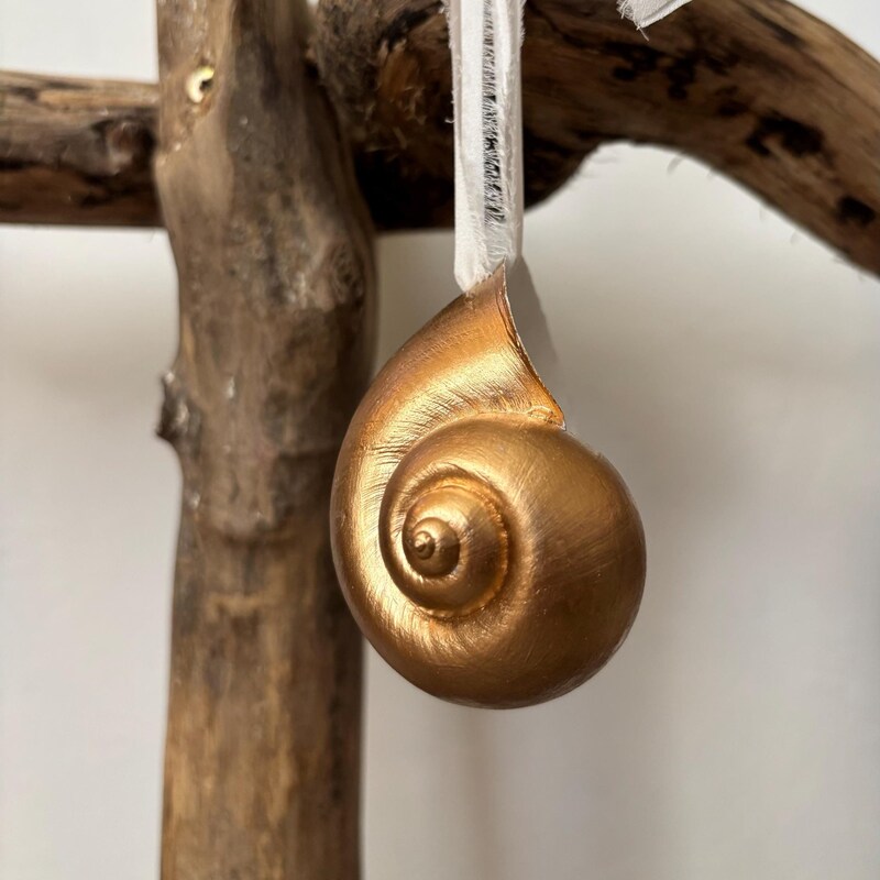 Apple Snail Shell - Etsy